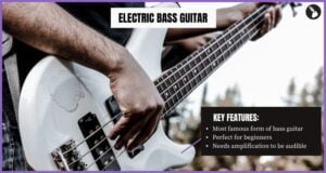 7 Most Popular Types of Bass Guitars - Explained (2022 Guide)